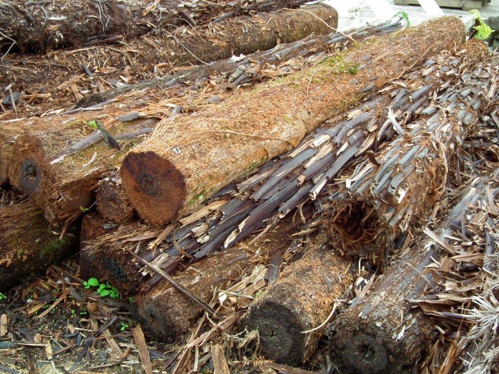 Ponga Logs & Sleepers – Heard Landscape Supplies | South Auckland ...